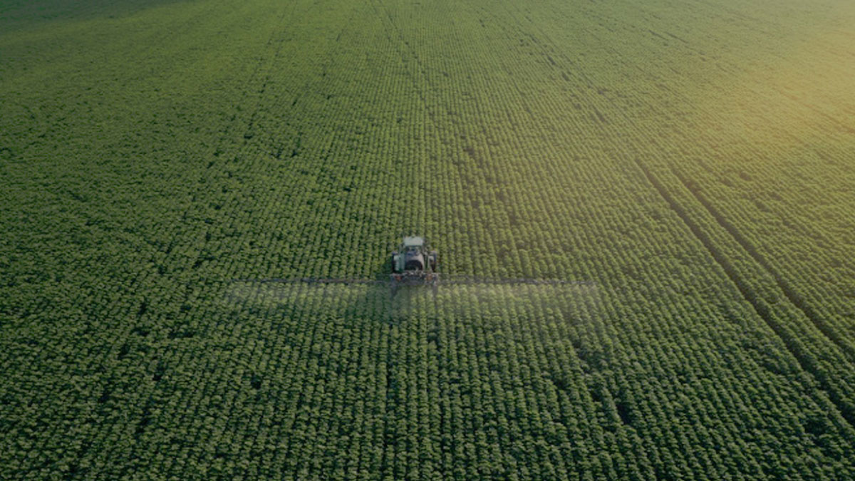 The Free Zone Guide: Key Points To Know About Free Zones - IPR ...